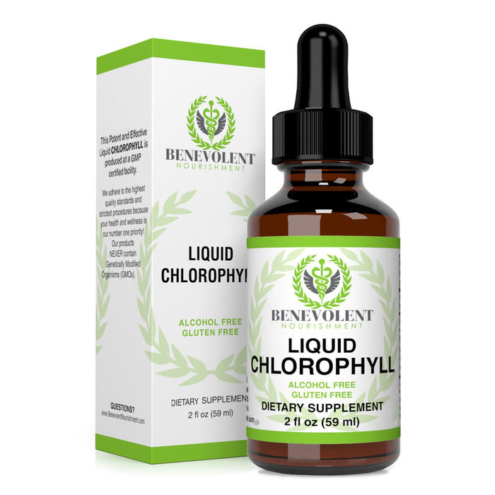 Liquid Chlorophyll Extract Drops (59 mL) - Benevolent Nourishment