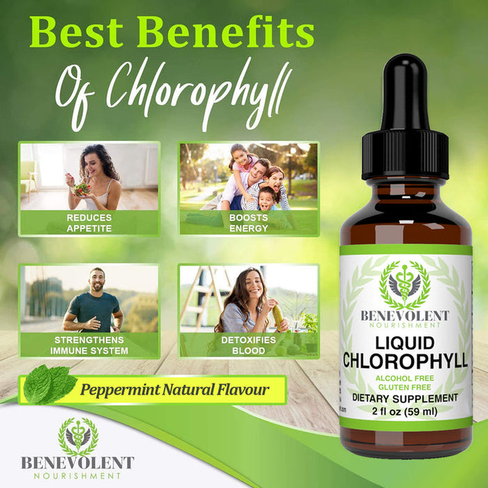 Liquid Chlorophyll Extract Drops - Peppermint Flavor (118 servings)