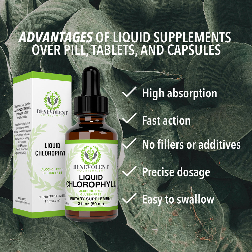 Liquid Chlorophyll Extract Drops - Peppermint Flavor (118 servings)